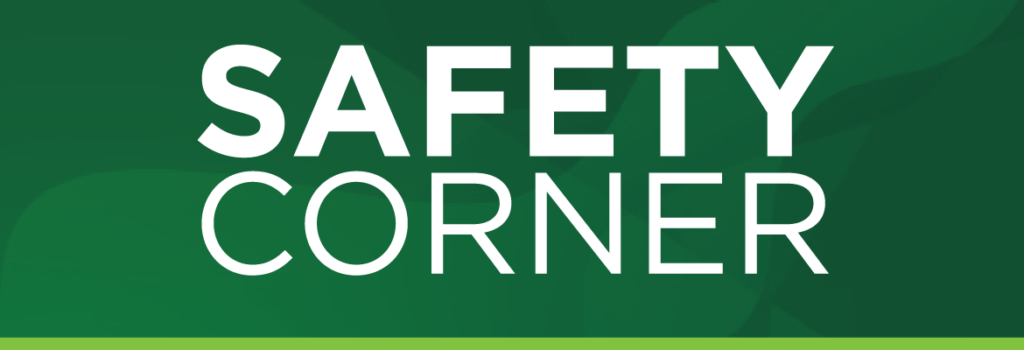 SECO News, November 2020 – SECO Energy