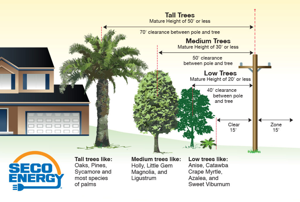 Right Tree, Right Place – SECO Energy